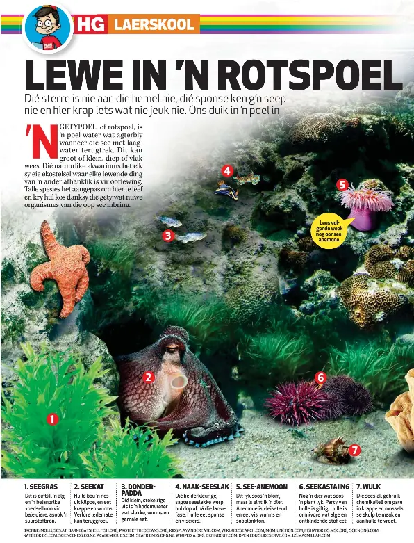 LEWE IN ’N ROTSPOEL - PressReader
