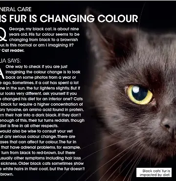 HIS FUR IS CHANGING COLOUR - PressReader