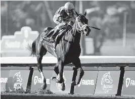 346 horses nominated to compete in Triple Crown series, but none of Baffert’s will run in Derby ...