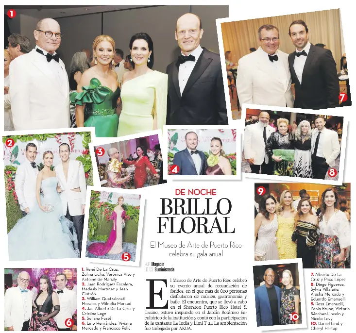 BRILLO FLORAL - PressReader