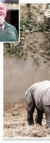 Relocating A Rhino - PressReader