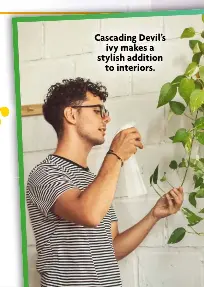 Purifying PLANTS - PressReader