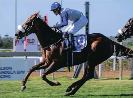 Fourie to rock massive Fairview Pick 6 - PressReader