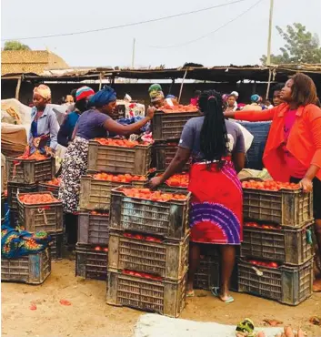 Mercado do Matabicho transforma­do em “entreposto” de produtos ...