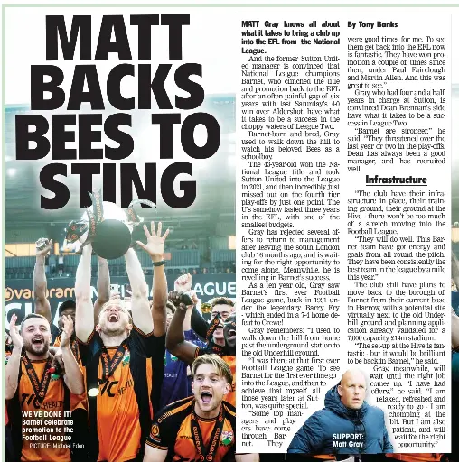 MATT BACKS BEES TO STING - PressReader