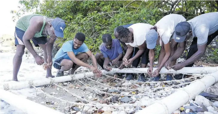 Sandals Foundation partners with Kee Fisheries to empower fishers ...