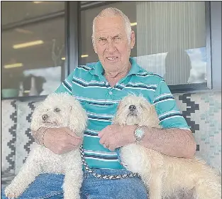 A man and his three furry friends - PressReader