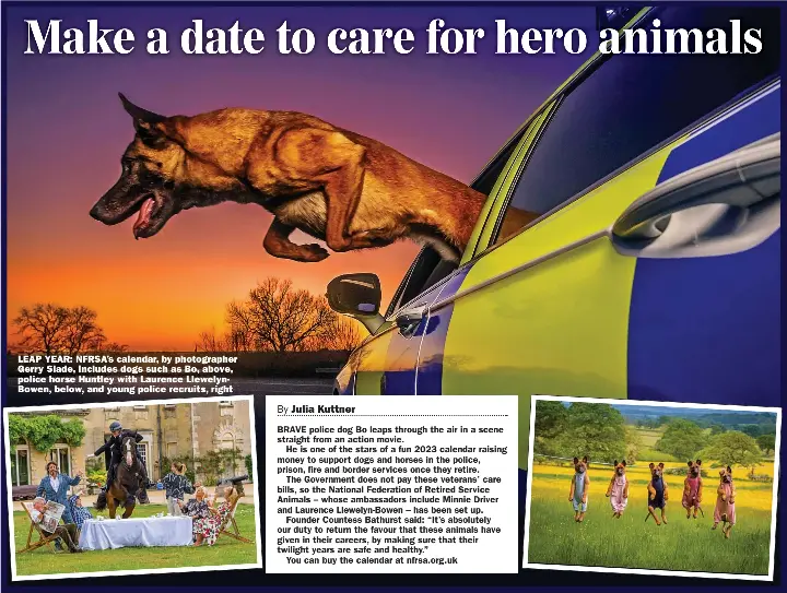 Make a date to care for hero animals - PressReader