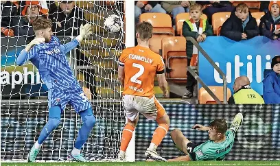 Goodwin double not enough after a valiant effort - PressReader