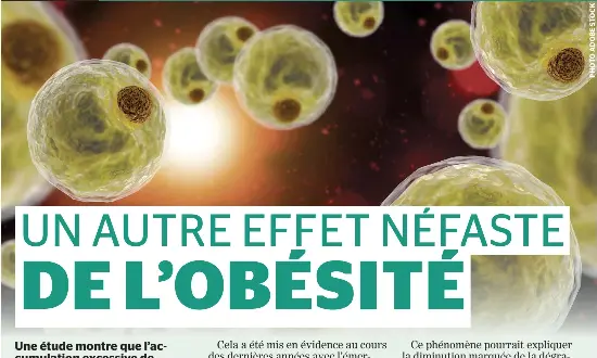 UN AUTRE EFFET NÉFASTE DE L’OBÉSITÉ - PressReader