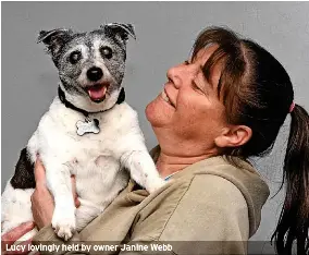 Beloved pet was shaken like a doll by escaped dog - PressReader