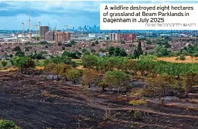 Fire crews faced nearly 27,000 wildfires in spring and summer - PressReader