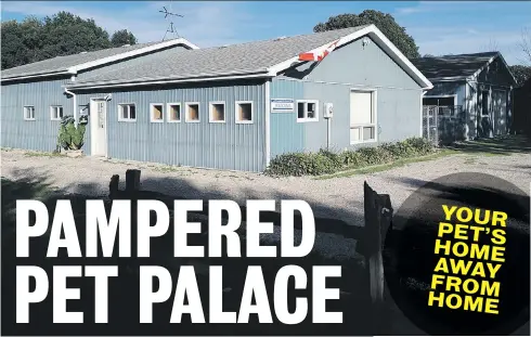 PAMPERED PET PALACE - PressReader