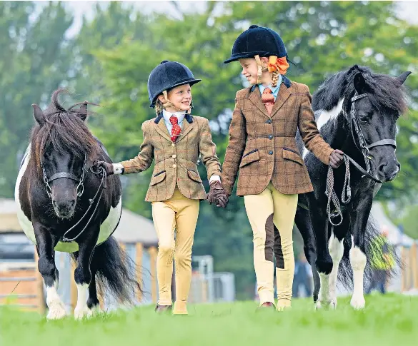 Police chief compares hunting to burglary - PressReader