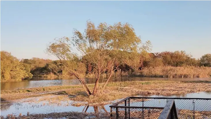 With Shanghai’s Outer Ring forest belt - PressReader