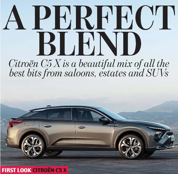 A PERFECT BLEND - PressReader