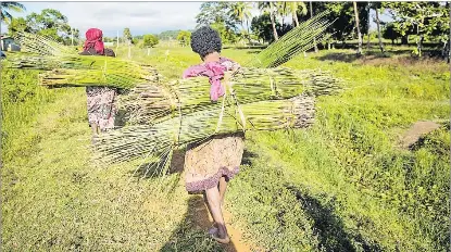 Report highlights insurance needs for farmers in Fiji - PressReader