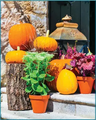 How to make the most of your pumpkins - PressReader