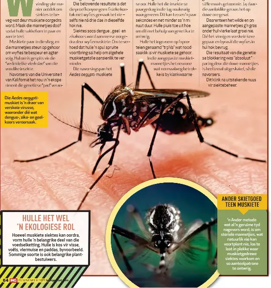 Dowe muskiete soek nie maats nie: Nuwe plan teen koorssiekt­es ...