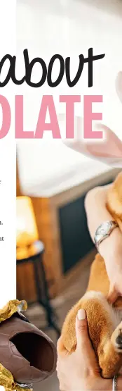 The truth about PETS & CHOCOLATE - PressReader