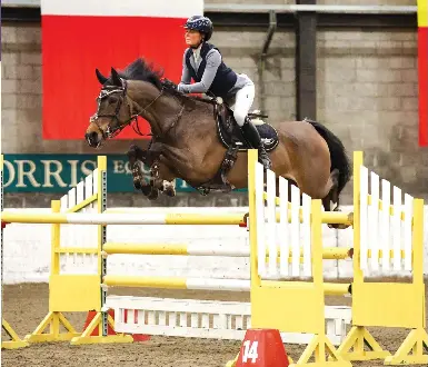 ‘You’re at the next fence before you know it’ - PressReader