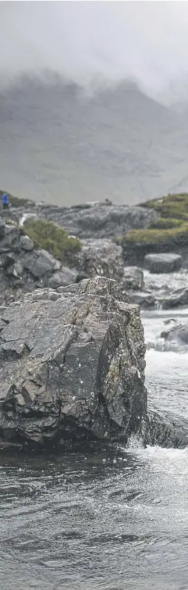 After discoverin­g the exhilarati­ng power of cold water immersion ...