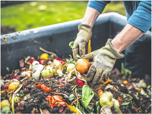 Tri, compostage, loi AGEC... Tout ce qu’il faut savoir sur le tri à la ...