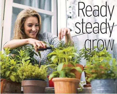 Ready steady grow - PressReader