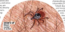 A tick-ing time bomb - PressReader