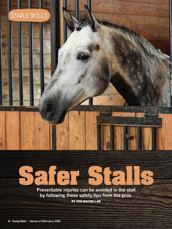 Stable Skills: Stall Safety - PressReader