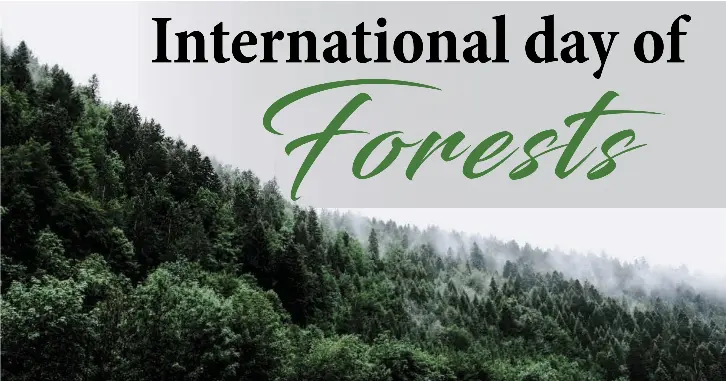 Internatio­nal day of Forests - PressReader