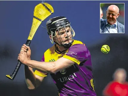 ‘Green shoots’ for Wexford but Dempsey wants •ong-term view - PressReader