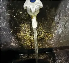 Cholera cases in Negocc now 24 - PressReader