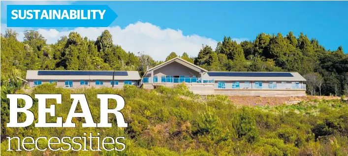 BEAR necessitie­s - PressReader