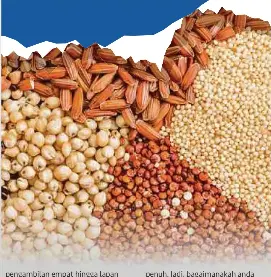 BIJIRIN PENUH KAYA NUTRIEN - PressReader