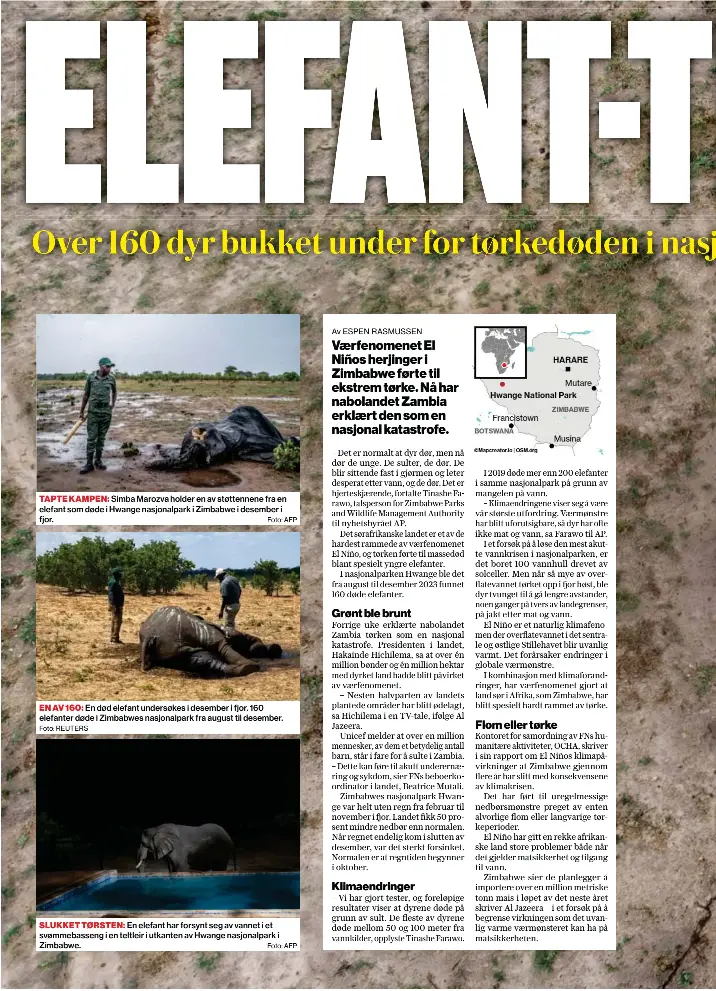 ELEFANT-T RAGEDIEN - PressReader