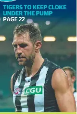 TIGERS TO KEEP CLOKE UNDER THE PUMP - PressReader