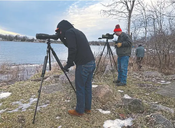 Christmas Bird Count enjoys soaring popularity - PressReader