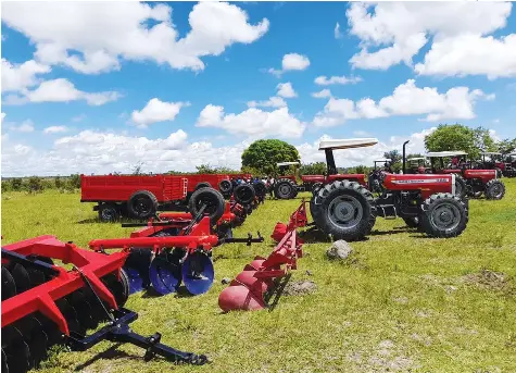 Cooperativ­as colhem 8.572 toneladas de batata rena e doce na primeira ...