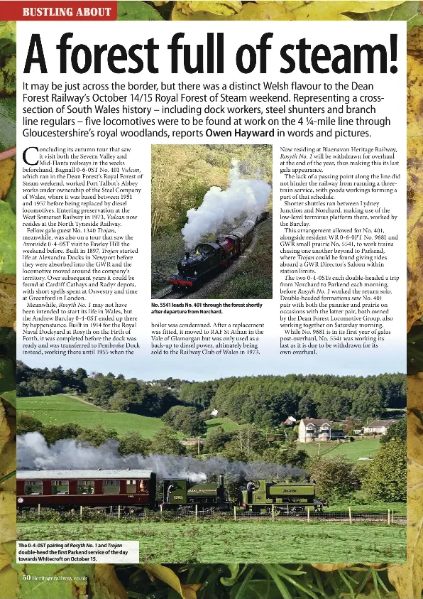 A forest full of steam! - PressReader