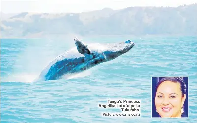 Tonga princess calls for legal rights for whales - PressReader