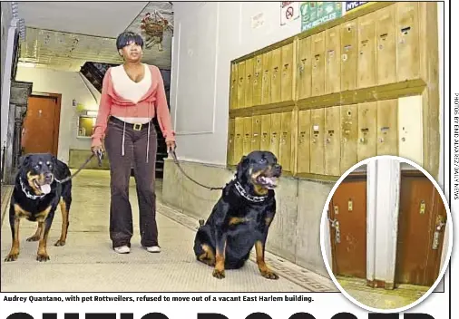 SHE’S DOGGED - PressReader