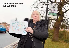 Concern over plans to scrap bus route - PressReader