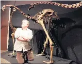 Sale of moa bones remains a worry - PressReader