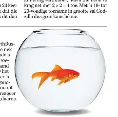 Hoe lank kan ’n goudvis dinge onthou? - PressReader