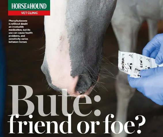 Friend or foe? - PressReader