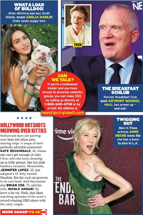 HOLLYWOOD HOTSHOTS MEOWING OVER KITTIES - PressReader