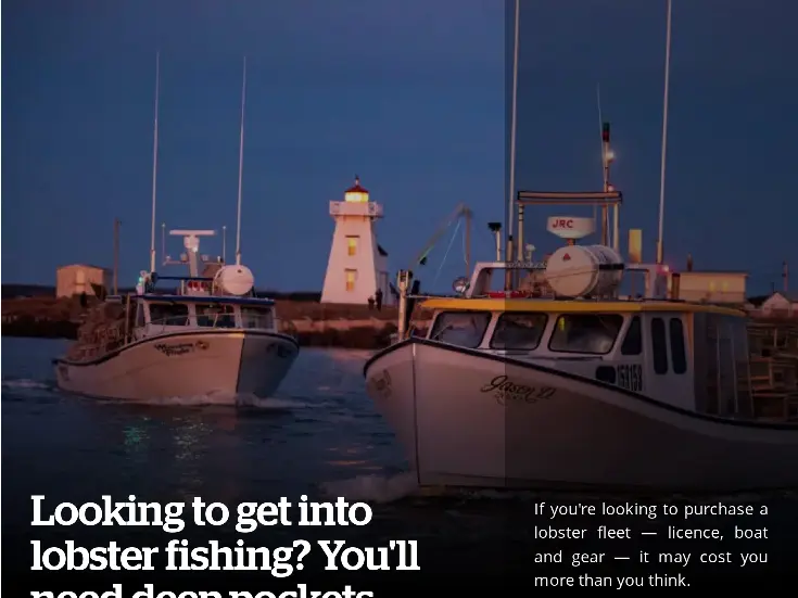 Looking to get into lobster fishing? You'll need deep pockets - PressReader