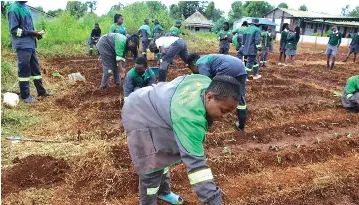 School sharpens learners’ farming skills - PressReader