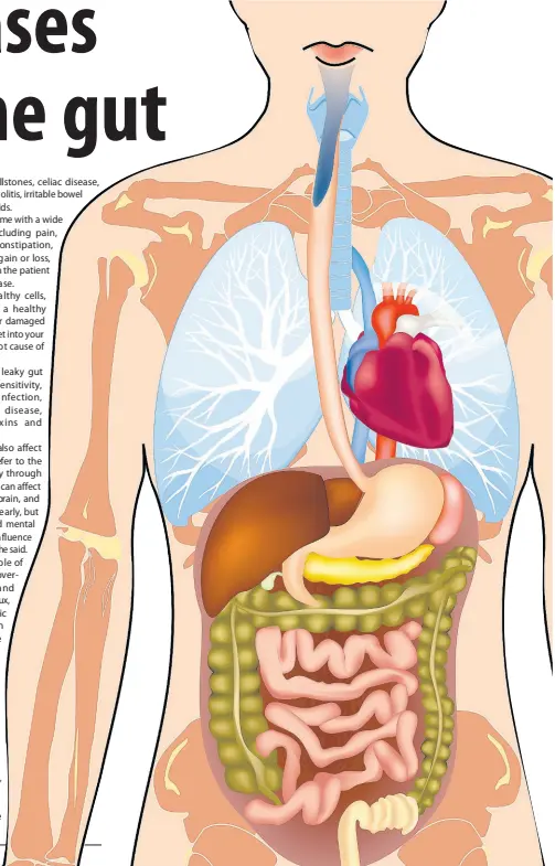 All diseases begin in the gut - PressReader